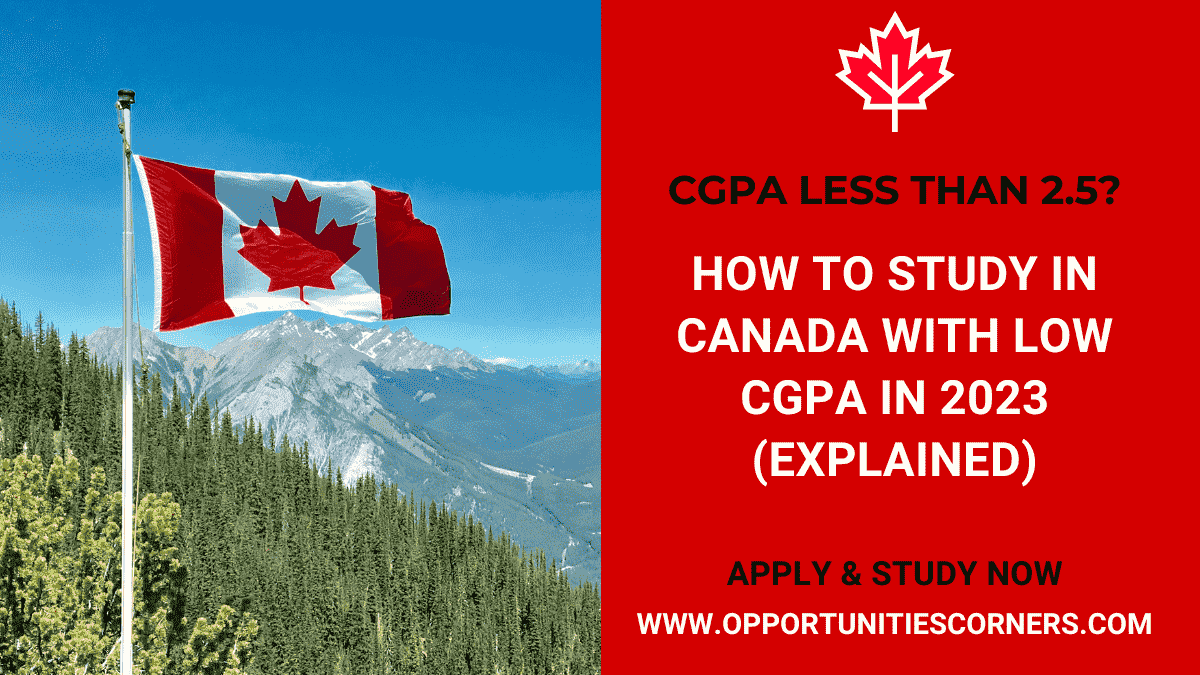 How To Study In Canada With LOW CGPA? (Explained) - Excelsior ...