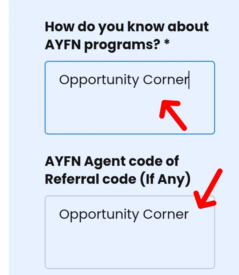 AYFN Japan WINTER Culture Camp 2026 (Fully Funded) - Excelsior ...